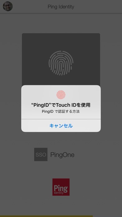 PingID | iPhone・Android対応のスマホアプリ探すなら.Apps