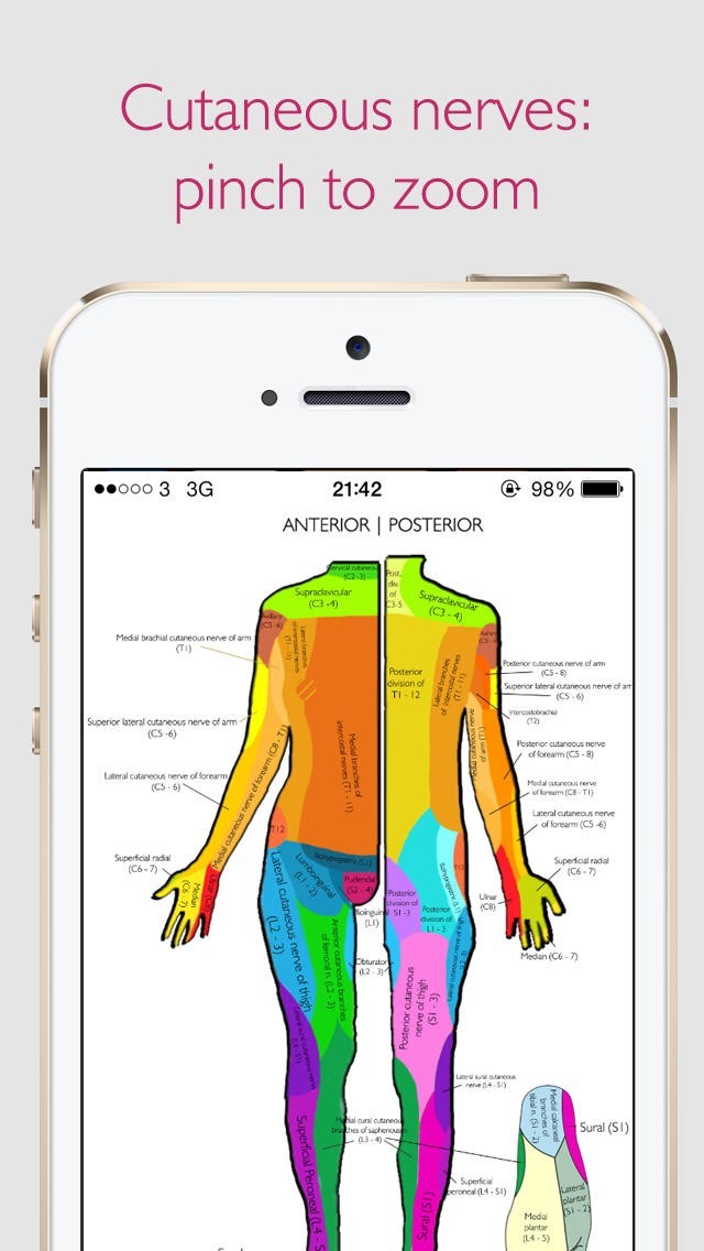 Dermatomes 2 | iPhone・Android対応のスマホアプリ探すなら.Apps