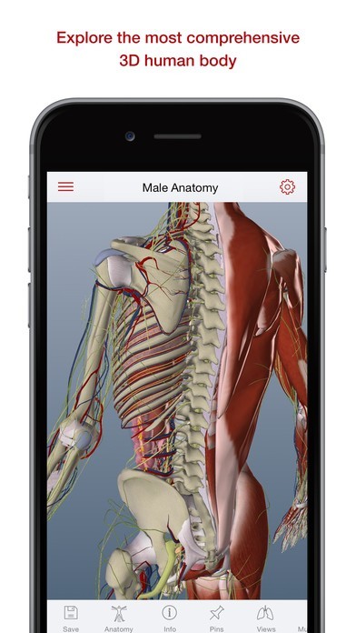 BioDigital Human: 3D Anatomy Explorer | iPhone・Android対応のスマホアプリ探すなら.Apps