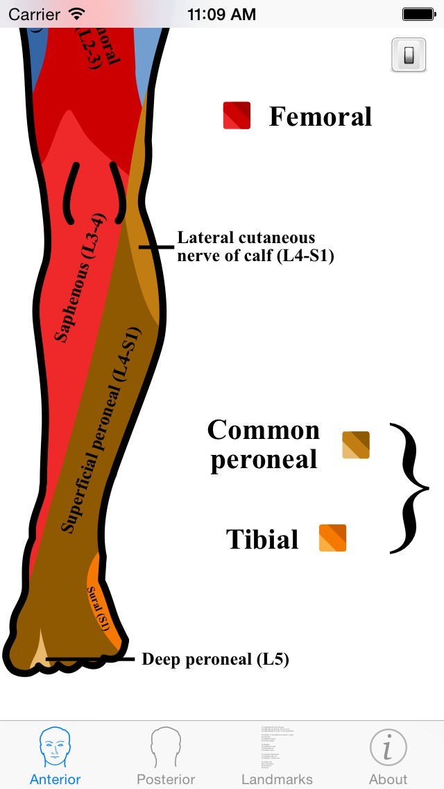 Dermatomes | iPhone・Android対応のスマホアプリ探すなら.Apps