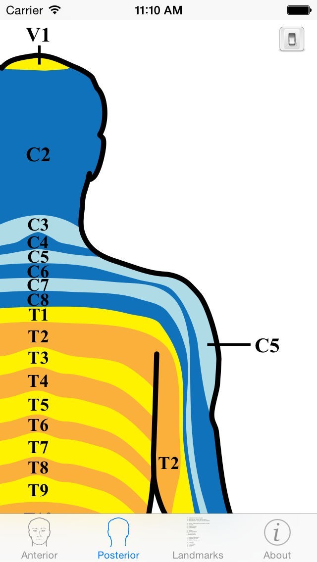 Dermatomes | iPhone・Android対応のスマホアプリ探すなら.Apps